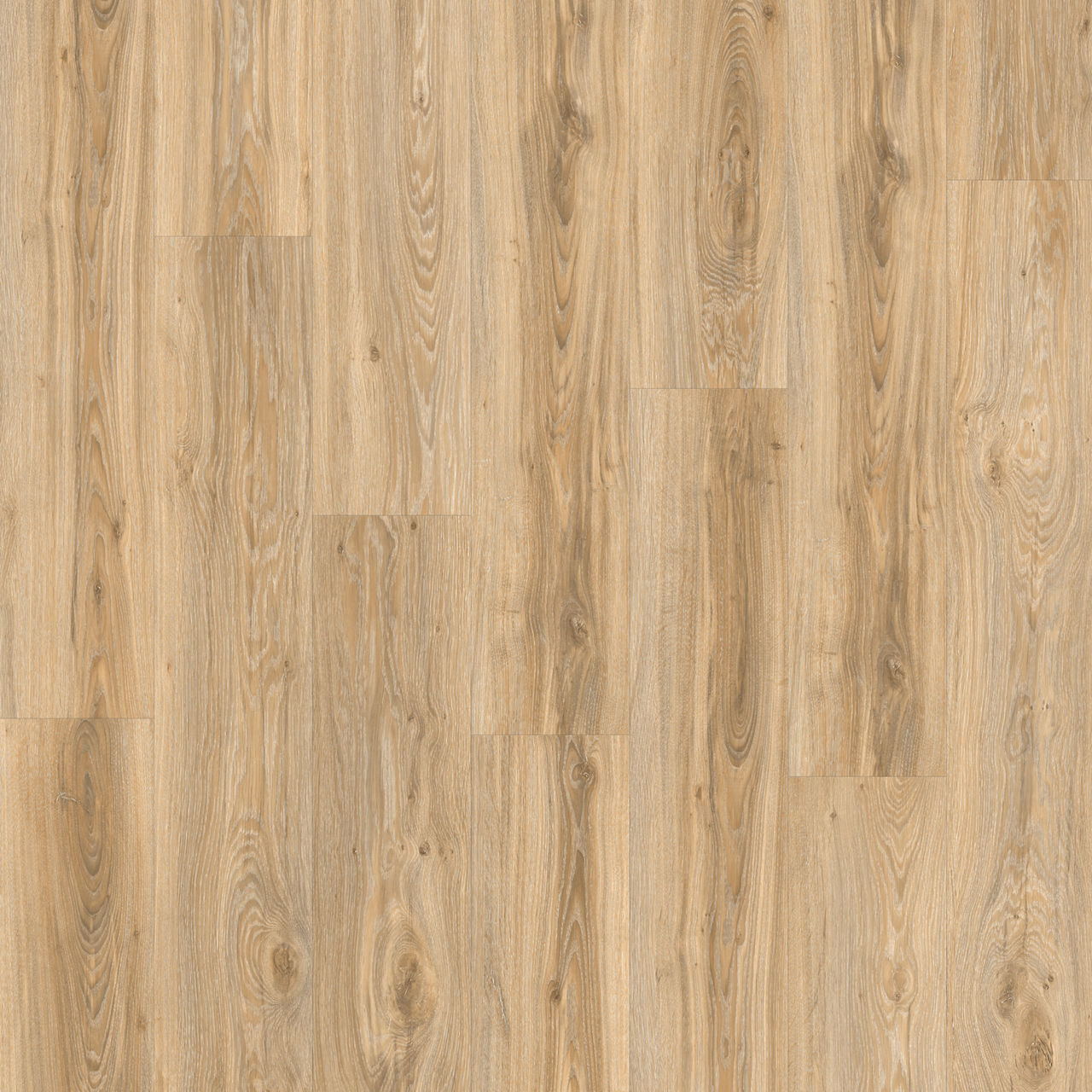 Moduleo Roots LVT Flooring | Premier Carpets & Flooring Ltd
